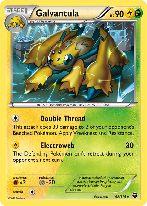 Gyara Who An Inside Look At What Made Waves In Orlando Pokebeach