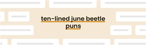 21 Best Ten Lined June Beetle Puns For 2025 Updated October Punpress