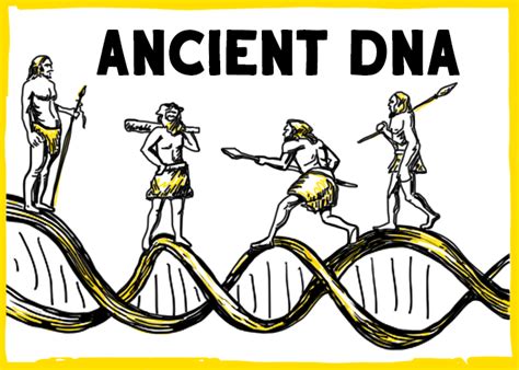 Ancient Dna How Does Neanderthal Dna Affect Modern Humans