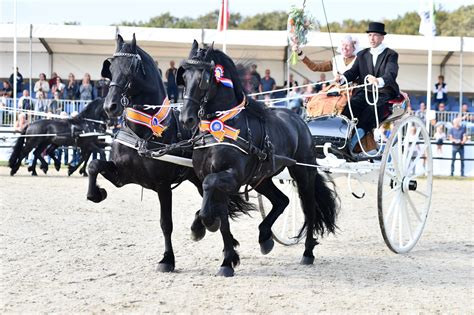 Stal Van Johnny Van Ingen Ontvingen We Nog Deze Mooie Foto Van Neon