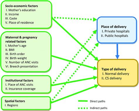 Diagrammatic Presentation Of The Hypothesised Causal Pathway Download Scientific Diagram