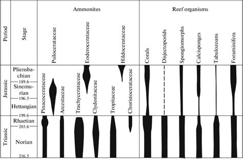 Extinction Of Ammonites And Reef Organisms In The Late Triassic