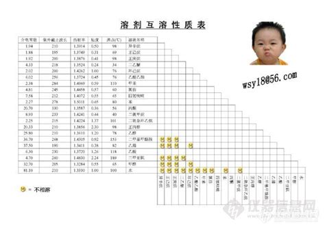 【链接】中、英文溶剂互溶表仪器信息网社区