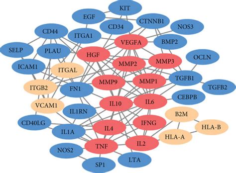 A The Protein Protein Interaction Ppi Network Of The Target Tmgs