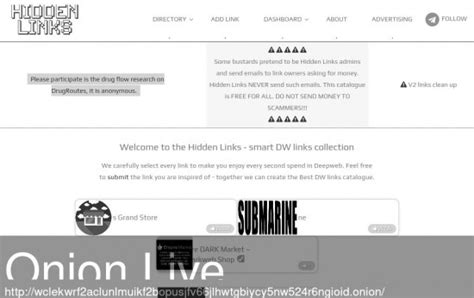 Hidden Links Onion Live
