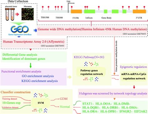 Identification Of Diagnostic Biomarkers In Patients With Gestational