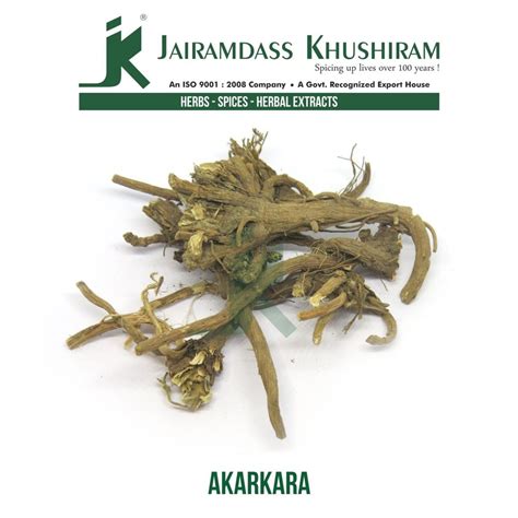 Anacyclus Pyrethrum Pellitory Roots Akarkara At Rs 255kg
