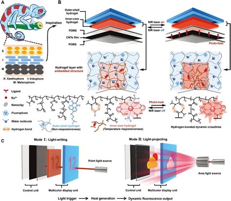 A Flexible Near Infrared Light Writing Multicolor Hydrogel System For