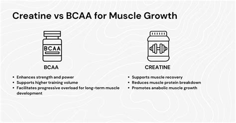 Creatine Vs Bcaa Which Should You Take Trumeta