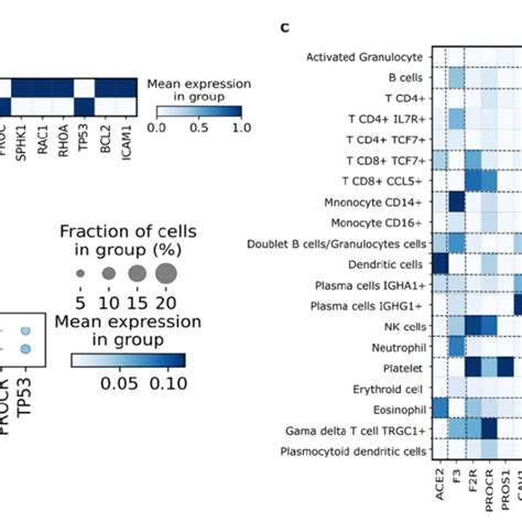 Expression Of Genes Involved In Activated Protein C Apc Signaling In