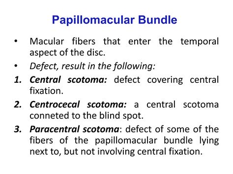 Afferent Visual Pathway Pdf