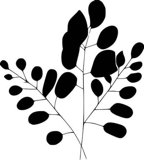 Premium Vector Eucalyptus Black And White Vector Illustration
