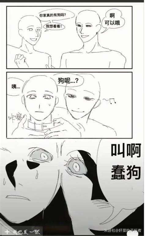 柏妮思和波可娜 绝区零社区 米游社