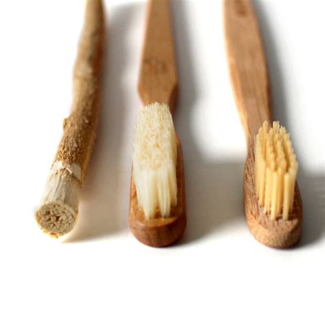 Toothpaste Without Fluoride Worth Knowing Stevia Group