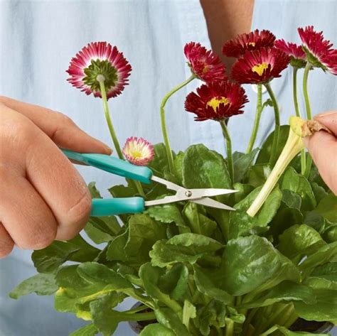 Adult Easi Grip Mini Scissors Lightweight Easy Open And Close Scissors