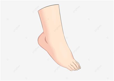 卡通腳人體足部 卡通 腳 足素材圖案，psd和png圖片免費下載