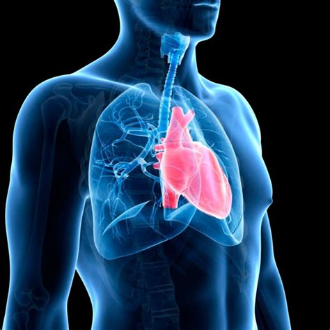People With Lung Cancer Deserve Better Treatment Says Uklcc Report