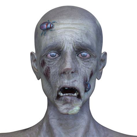 3d Rendering Of A Male Zombie Face Stock Illustration Illustration Of