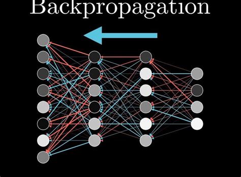 Differentiable Simulators Razvan Marinescu