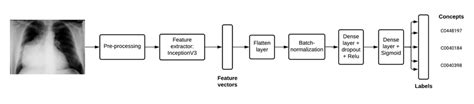 cnn based multi label classification of features extracted from the