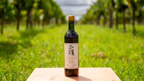 Gamboa Argentina Highlights