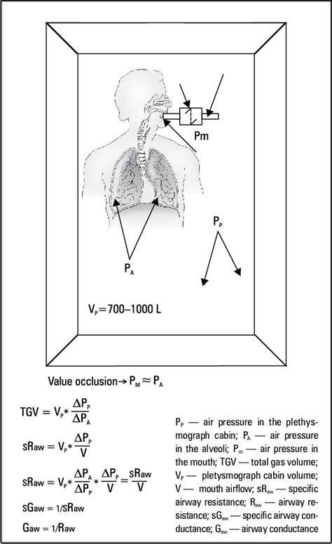 Graphic Presentation Of Plethysmographic Measurement Of Lung Volume And