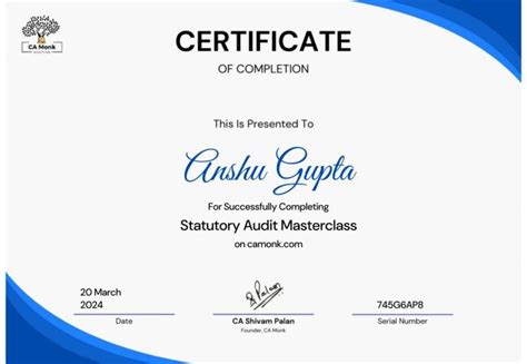Statutoryaudit Professionaldevelopment Camonk Auditexcellence