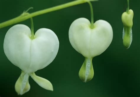 Mindful Self Compassion A Course Review Sacred Moves