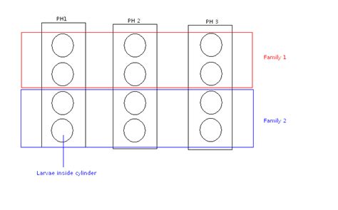 Experimental Design And Mixed Models Cross Validated