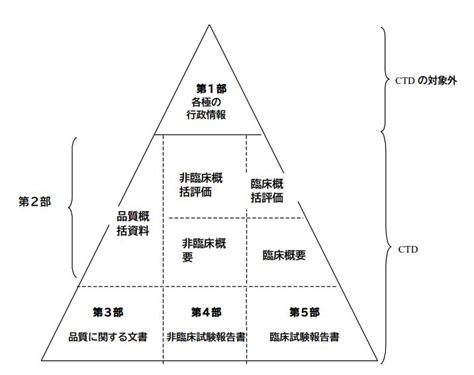 Ich M4 コモン・テクニカル・ドキュメント（ctd）の構成