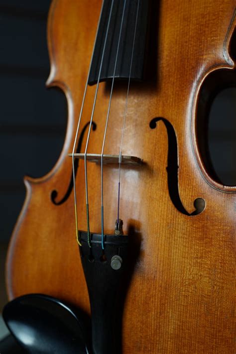 Yahooオークション Shinichi Izutsu井筒信一 バイオリン 12サイズ