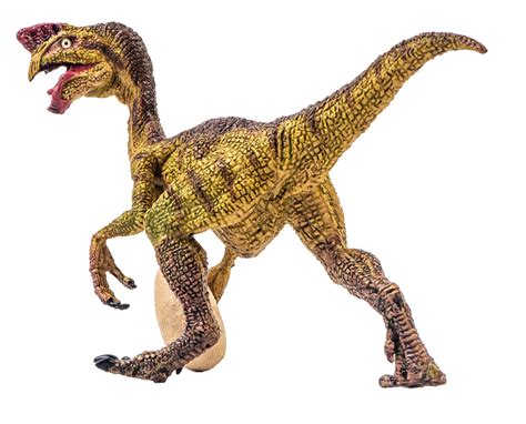 All About The Oviraptor The Egg Thief Gage Beasley