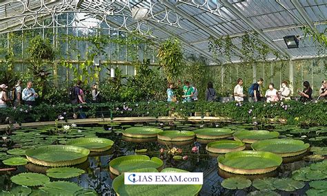 Ex Situ Conservation Upsc