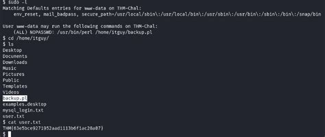 Lazyadmin Tryhackme Walkthrough Notes By Nisha