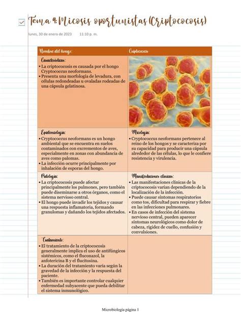 Micosis Oportunistas Criptococosis Tania Udocz