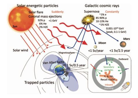 Bachelor Master And Doctoral School Projects ‒ Cvlab ‐ Epfl