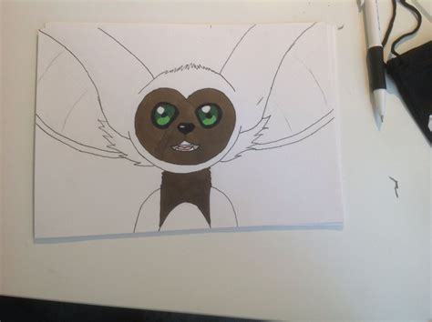 How To Draw Momo In Avatar 😻 Bc Guides