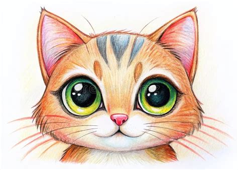 Learn To Draw A Cute Cat Face A Simple Stepbystep Drawing Tutorial For