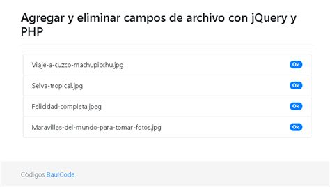 Agregar Y Eliminar Campos De Archivo Con JQuery Y PHP BaulCode