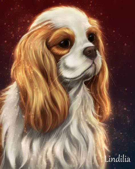 Cavalier King Charles Spaniel Digital Art By Lindilia On Deviantart