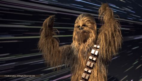 Original Chewbacca Character Costume From Star Wars 1977 Saline Journal