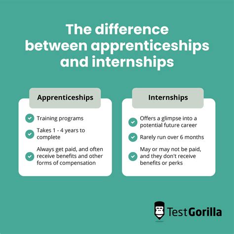 How To Hire An Apprentice Testgorilla