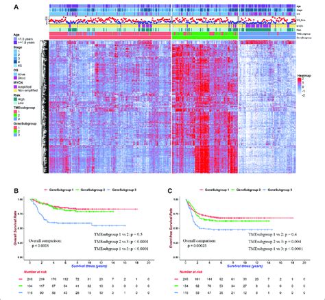 Transcriptome Background Within Tme Landscape Degs Among