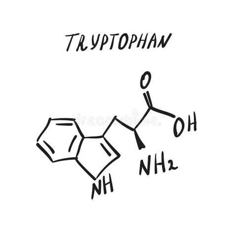 Tryptophan Molecule Formula Hand Drawn Imitation Of Amino Acid