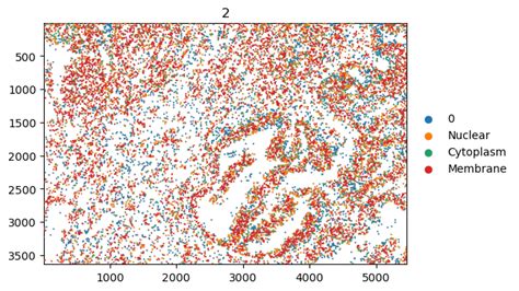 Technology Focus Cosmx — Spatialdata