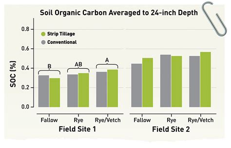 Building Organic Matter On Sandy Soils Vegetable Growers News