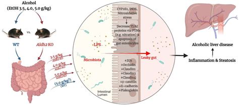 Aldehyde Quantification Assay Kit Abcam Bioz