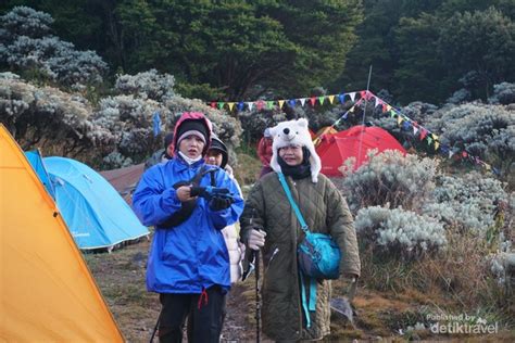 Indahnya Pagi Di Alun Alun Surya Kencana Gunung Gede
