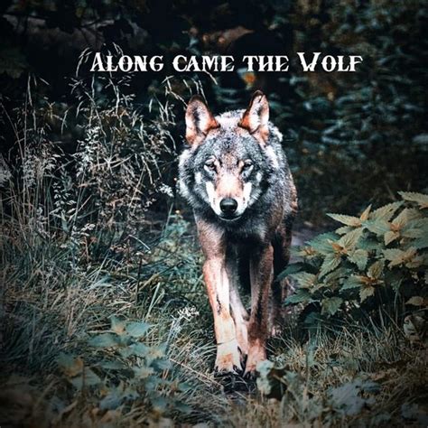 Stephen Mark Maughan On Linkedin Along Came The Wolf