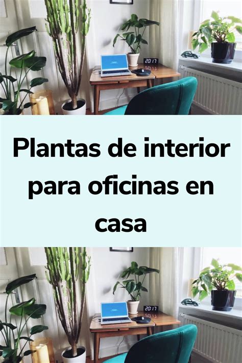 Plantas De Interior Para Oficinas En Casa